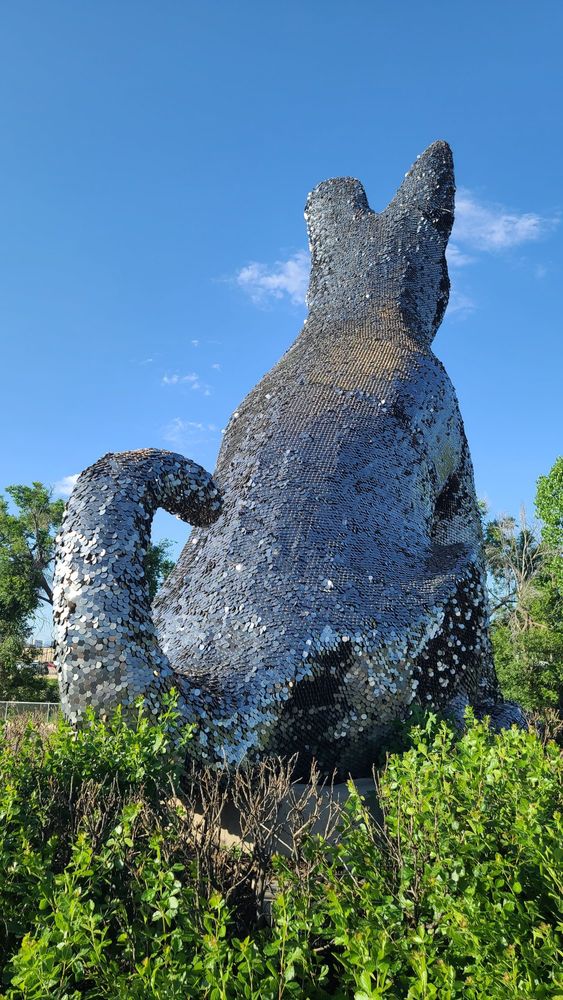 DENVER ANIMAL PROTECTION - Updated December 2025 - 70 Photos & 107 ...