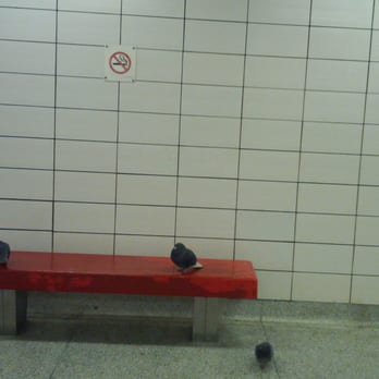 ISLINGTON STATION - Updated December 2025 - 51 Photos & 15 Reviews ...