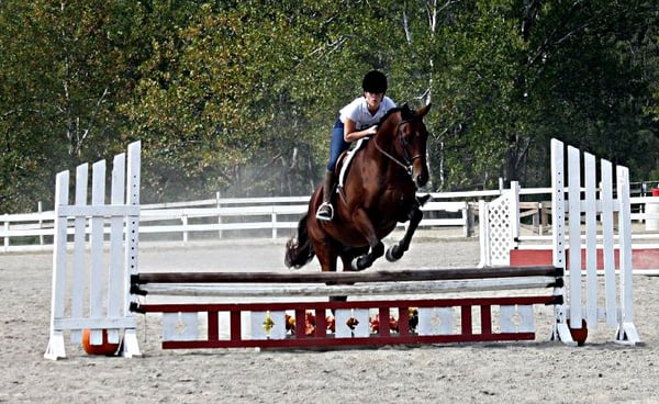 WALNUT SPRING STABLES - Updated December 2025 - 3589 Glade Rd ...