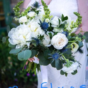 ROCHE BROS. - BRIDGEWATER - Updated January 2026 - 17 Photos & 24 ...