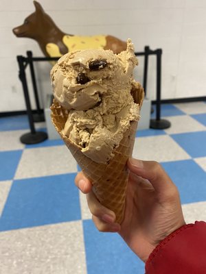UCONN DAIRY BAR - Updated May 2025 - 382 Photos & 319 Reviews - 17 ...