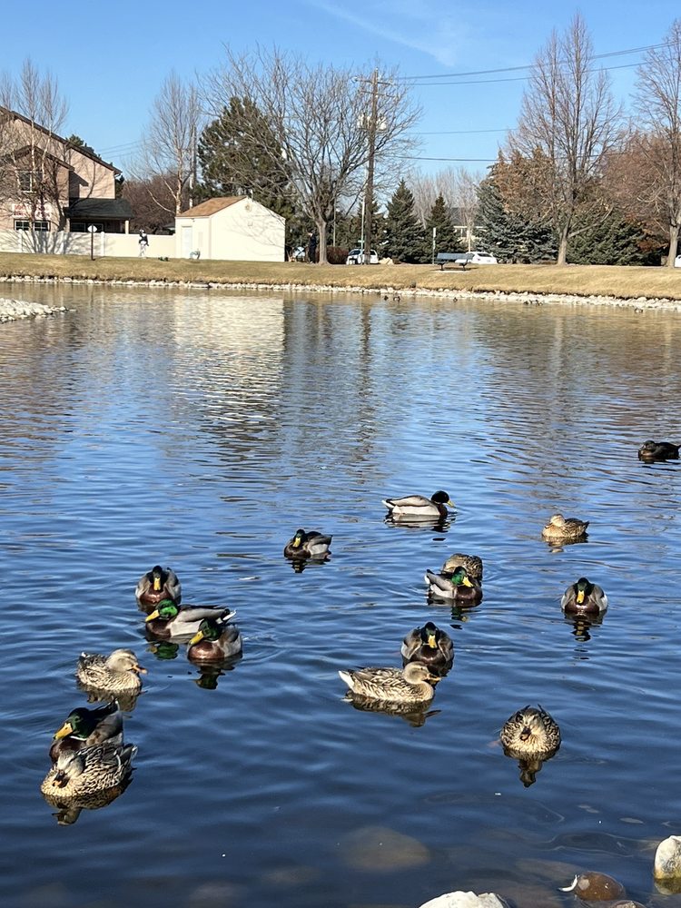 SETTLERS PARK - Updated December 2025 - 52 Photos & 31 Reviews - 3245 N ...