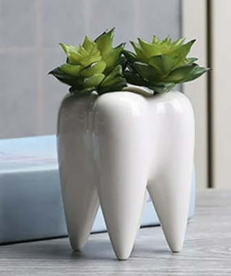 DENNA DENTAL - Updated October 2025 - 18 Photos - 15 Clifton Country Rd ...