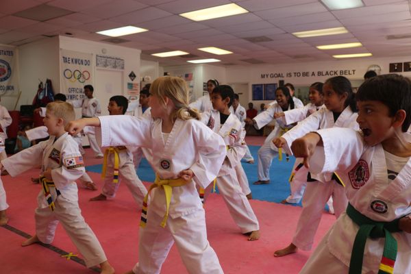 KIL’S TAE KWON DO - Updated January 2026 - 8677 N Lilley Rd, Canton ...