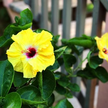 THE LAZY PARROT INN - Updated August 2025 - 101 Photos & 41 Reviews ...