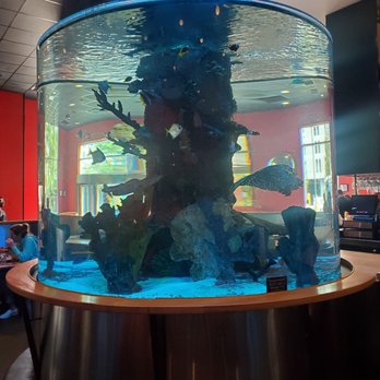 THE COWFISH SUSHI BURGER BAR - 2342 Photos & 1945 Reviews - 4208 Six ...