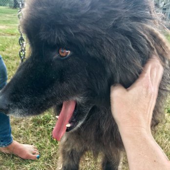 KISMA PRESERVE - Updated September 2024 - 30 Photos & 18 Reviews - 446 ...