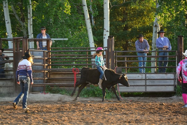 MEADOW VUE RANCH - Updated December 2025 - 27 Photos - 3728 Red Rock Rd ...