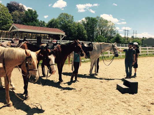 VALLEY VIEW RIDING STABLES - Updated July 2024 - 31 Photos - 91 Lake Rd ...