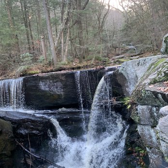 ENDERS STATE FOREST - Updated June 2025 - 145 Photos & 33 Reviews ...