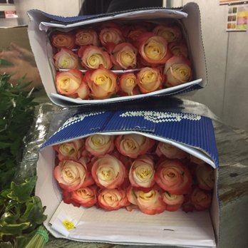 HUNTS POINT FLOWER MARKET - Updated September 2024 - 38 Photos & 27 ...