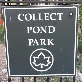 COLLECT POND PARK - Updated May 2026 - 35 Photos - Centre St And ...