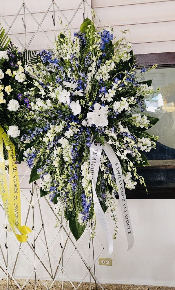 FLORISTERIA BORINQUEN - Updated January 2025 - Calle Fernando Pla 1 ...