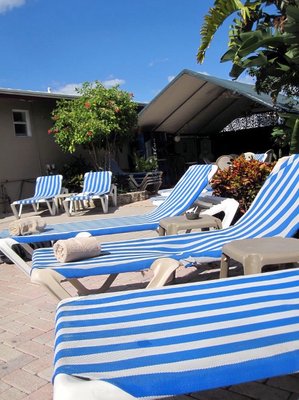 INN LEATHER - Updated May 2024 - 25 Photos & 25 Reviews - 610 SE 19th ...