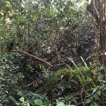 FERN FOREST NATURE CENTER - 461 Photos & 66 Reviews - 201 S Lyons Rd ...