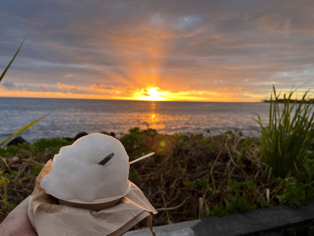 GECKO GIRLZ - Updated December 2024 - 503 Photos & 396 Reviews - 75 ...