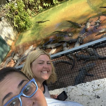 EVERGLADES ALLIGATOR FARM - 828 Photos & 288 Reviews - 40351 SW 192nd ...