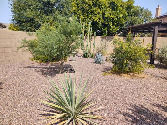 PATIO PROS LANDSCAPE & DESIGN - Updated May 2025 - 219 Photos & 22 ...