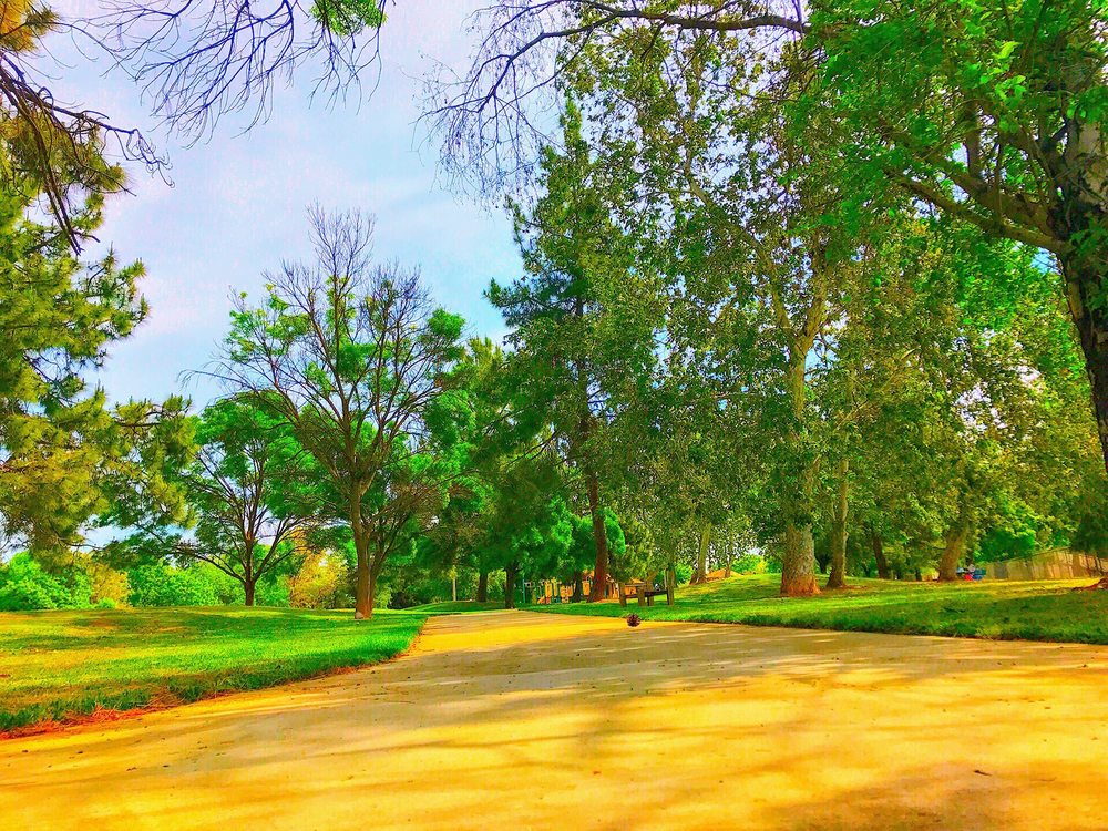 KEITH TICE MEMORIAL PARK - 8695 N Millbrook, Fresno, CA - Yelp