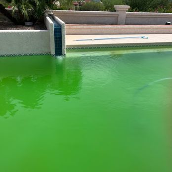 ARIZONA PIMA CHEMICAL POOL SERVICE - Updated October 2025 - 55 Reviews ...