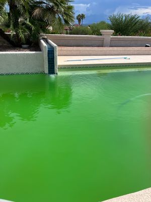 ARIZONA PIMA CHEMICAL POOL SERVICE - Updated December 2025 - 55 Reviews ...