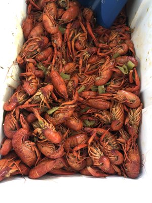 CAPTAIN DAT SEAFOOD - 54 Photos & 28 Reviews - 4525 Williams Blvd ...