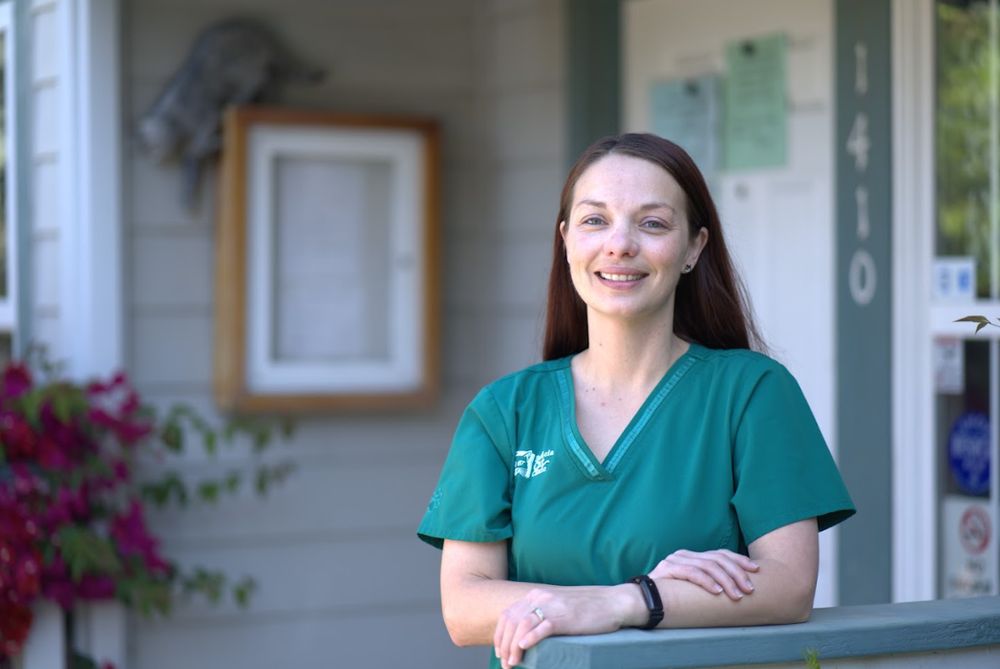 BENICIA CAT CLINIC - Updated December 2025 - 76 Photos & 86 Reviews ...