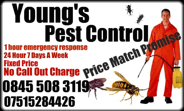 YOUNGS PEST CONTROL - Updated July 2025 - 10 Photos - 2 Grasmere Road ...