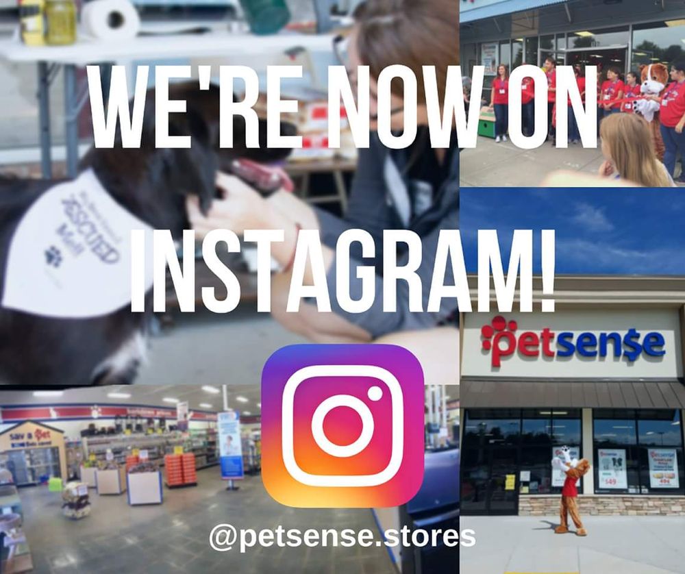 PETSENSE - Updated June 2024 - 136 Berlin Rd, Cromwell, Connecticut ...