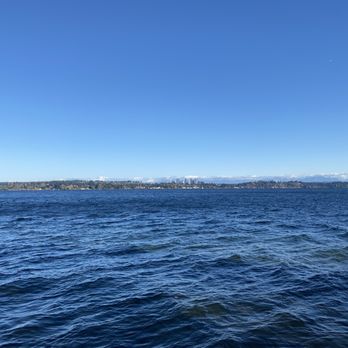 MADRONA PARK - Updated January 2026 - 95 Photos & 33 Reviews - 853 Lake ...