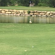 FAIR OAKS RANCH GOLF & COUNTRY CLUB - 43 Photos & 24 Reviews - 7900 ...