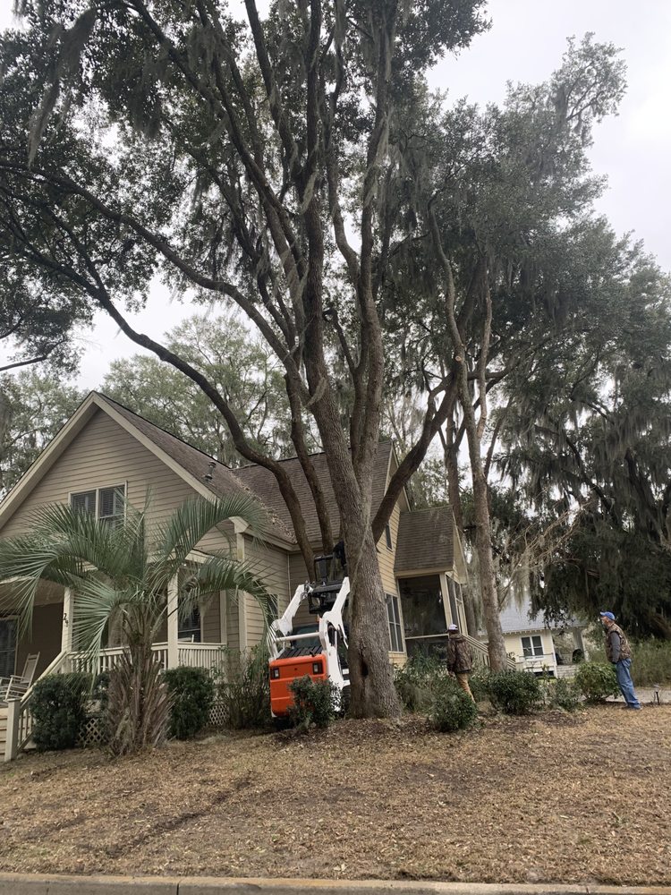 SMITH’S TREE SERVICE - Updated November 2025 - Request a Quote - 10 ...