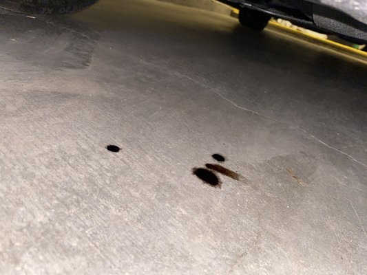 KALIDY KIA - Updated October 2025 - 41 Photos & 142 Reviews - 14205 ...