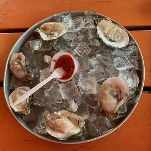 BIG SHUCKS OYSTER BAR - 228 Photos & 288 Reviews - Seafood - 6232 E ...
