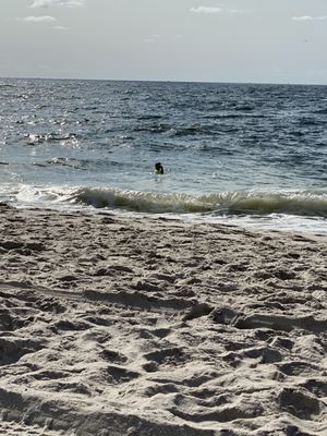 CEDAR BEACH - Updated August 2024 - 84 Photos & 35 Reviews - 100 Ocean ...