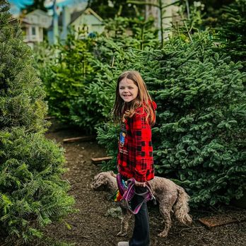 HUNTER CHRISTMAS TREES - Updated December 2025 - 31 Photos & 33 Reviews ...