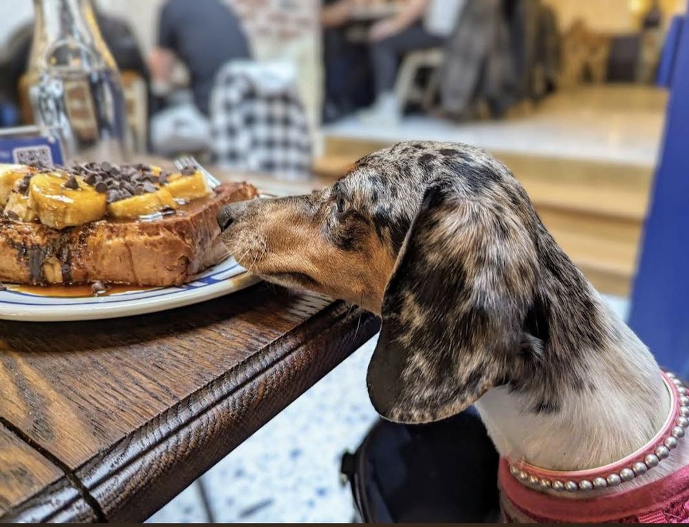 KOZY - Updated April 2025 - 33 Photos & 32 Reviews - 48 rue de Ponthieu ...