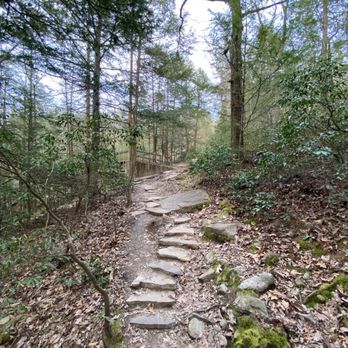 SEVEN TUBS RECREATION AREA - Updated April 2026 - 47 Photos - 900 Bear ...