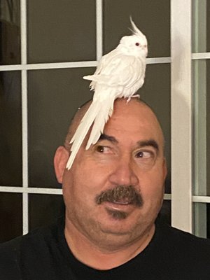 LOUIS BIRDS PETS AND SUPPLIES - Updated December 2024 - 76 Photos & 134 ...