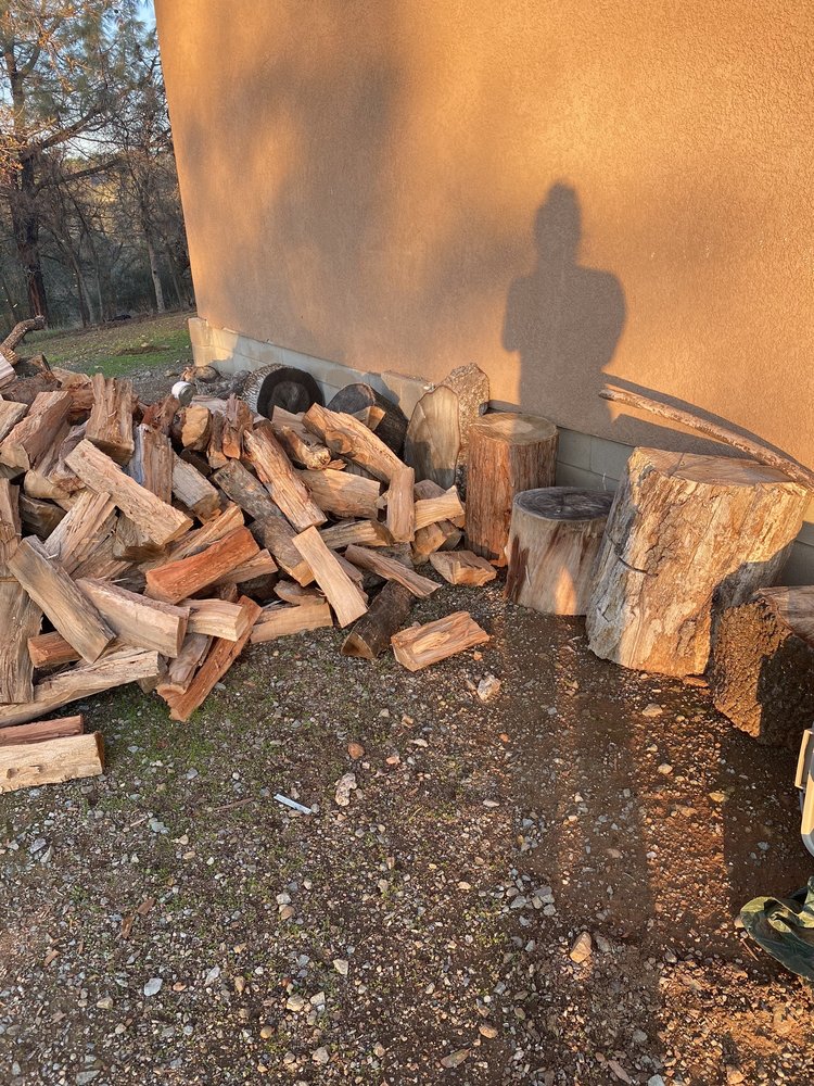 Lone Pine Tree Service Updated February 2026 146 Photos 47