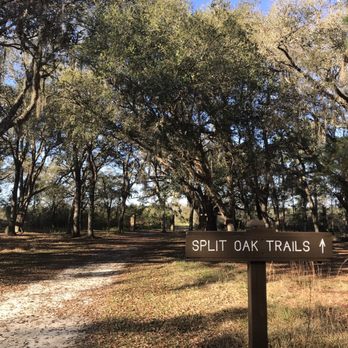 MOSS PARK - Updated August 2025 - 102 Photos & 37 Reviews - 12901 Moss ...