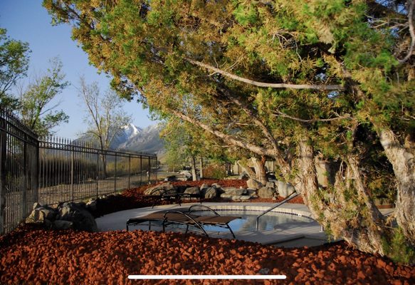 DAVID WALLEY’S RESORT - Updated December 2025 - 604 Photos & 465 ...