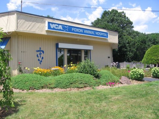 VCA FOXON ANIMAL HOSPITAL - Updated December 2025 - 20 Photos & 22 ...