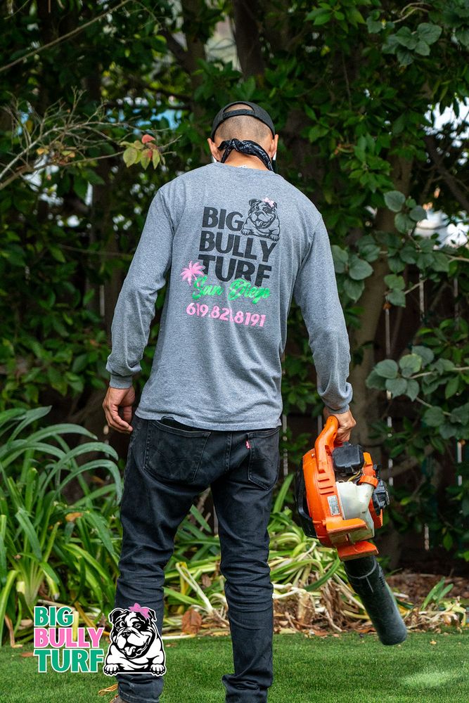 BIG BULLY TURF - Updated December 2025 - 48 Photos - 6900 E Camelback ...