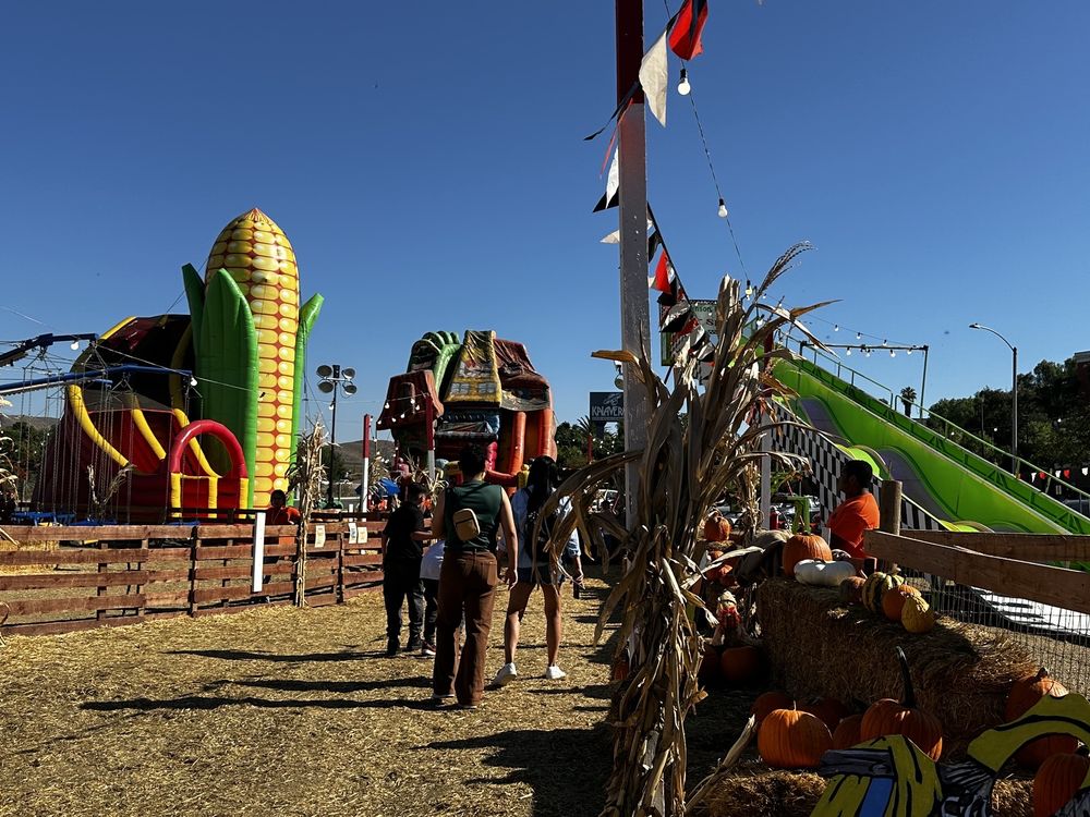 THE PUMPKIN FACTORY - Updated December 2025 - 174 Photos & 102 Reviews ...