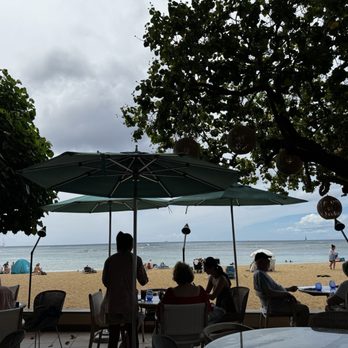 HAU TREE - Updated June 2025 - 2747 Photos & 873 Reviews - 2863 ...