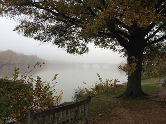 THOMPSON BOAT CENTER - Updated October 2025 - 144 Photos & 52 Reviews ...