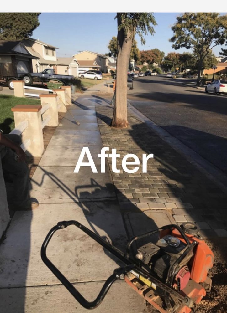 GUTIERREZ TREE TRIMMING - Updated September 2025 - 26 Photos - Los Angeles, California - Tree ...