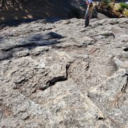 INDIAN ROCK PARK - 409 Photos & 236 Reviews - 950 Indian Rock Ave ...