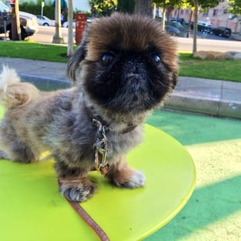 SUNSET TRIANGLE PLAZA - Updated September 2025 - 16 Photos - Griffith ...